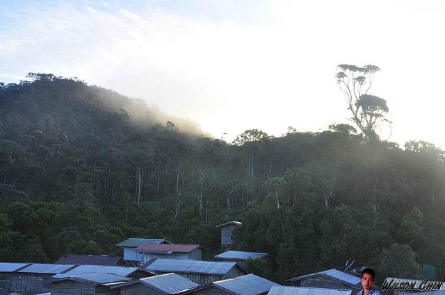 Mount Murud Exploration - Summit The Mount Murud, Highest Mountain in ...