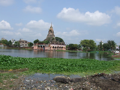 HERITAGE BIHAR: MAD ABOUT MADHUBANI