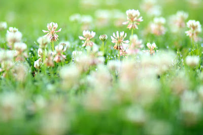 Mademoiselle Mermaid: Words of Wisdom : Hello, May!!