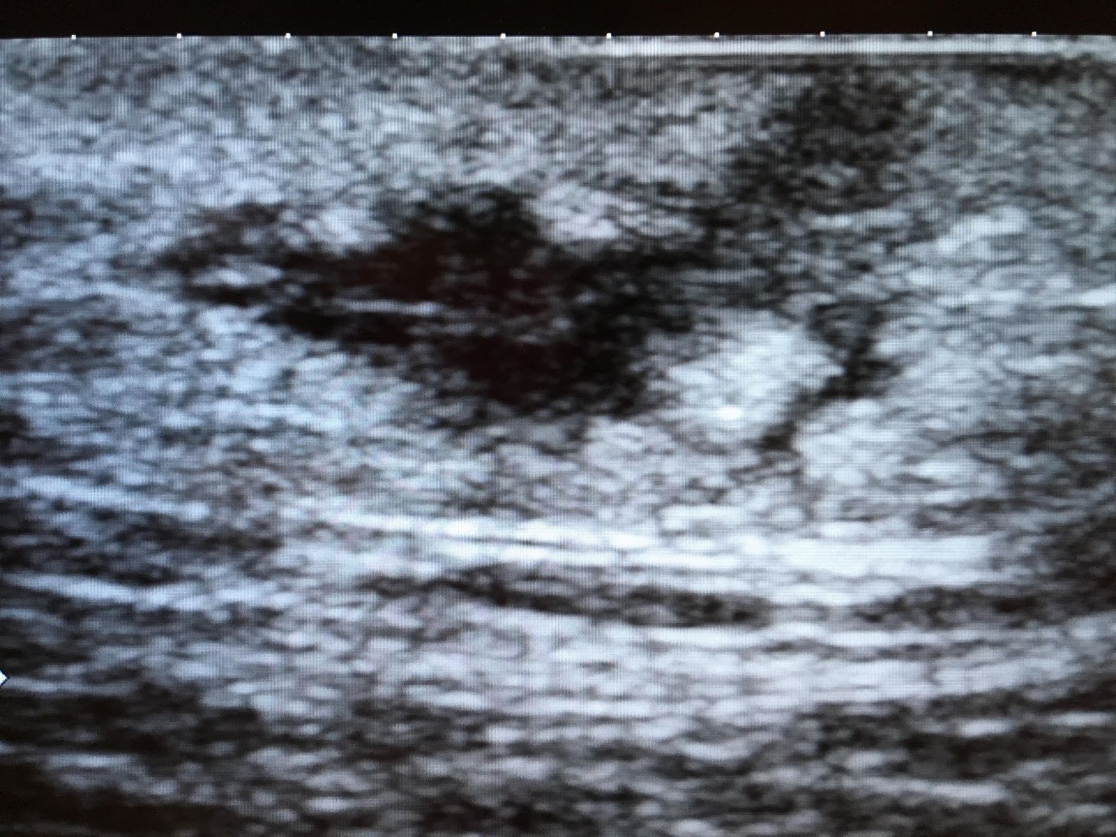 EL RINCÓN DE LA MEDICINA INTERNA. juanpedromacaluso@yahoo.com.ar ...