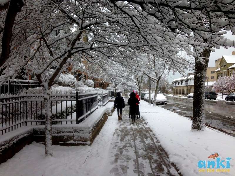 Milwaukee:First Snow of Season Photoessay | Anki On The Move