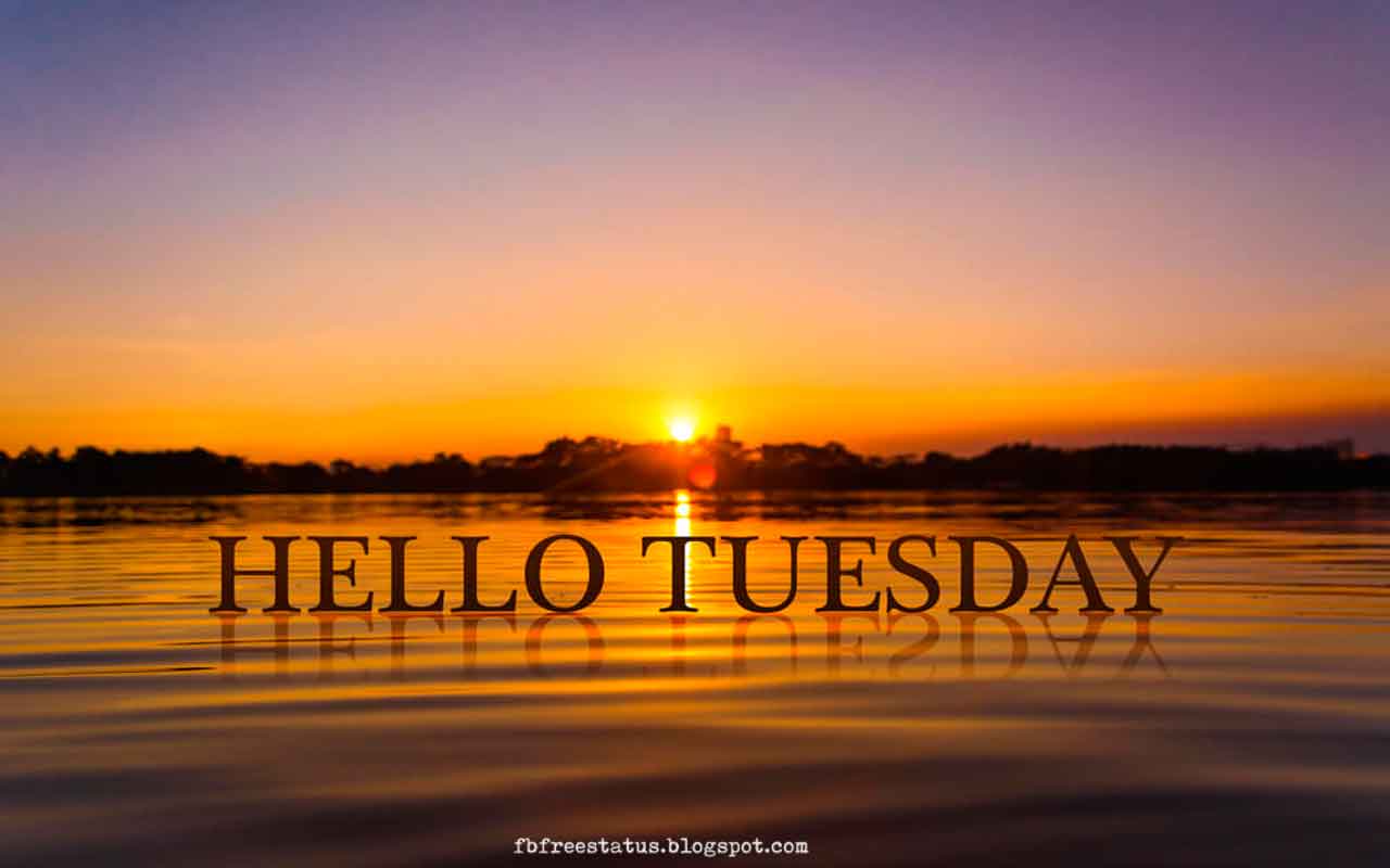 Funny & Happy Tuesday Morning Quotes with Images