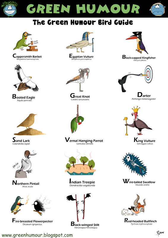 Green Humour: The Green Humour Birding Guide