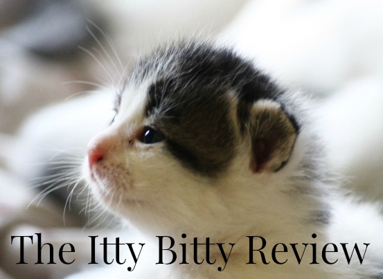 Itty Bitty Review: Bagged by the Groceries!