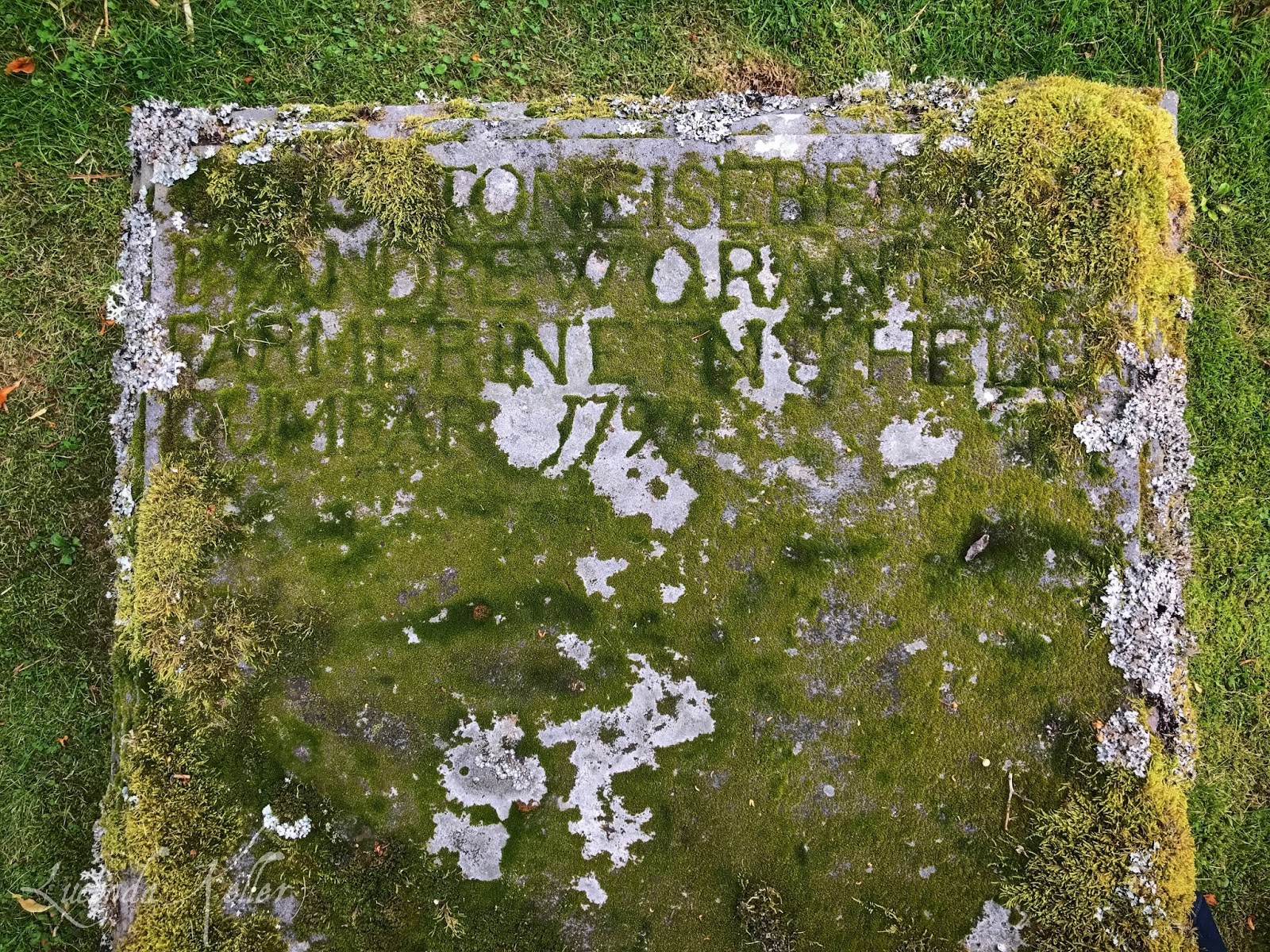 Cobalt Violet: Along the River Spey ~ Clan Grant, Duthil Kirk, Grantown ...