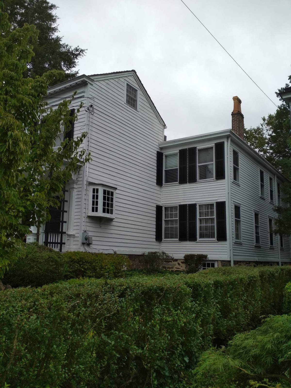 CHINAR SHADE : ALBERT EINSTIEN'S HOUSE IN PRINCETON