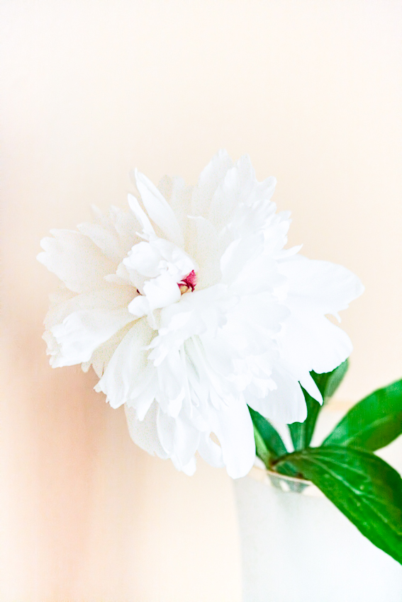 Photoshop Artistry and HDR Photography of Matt Shalvatis: May 2012