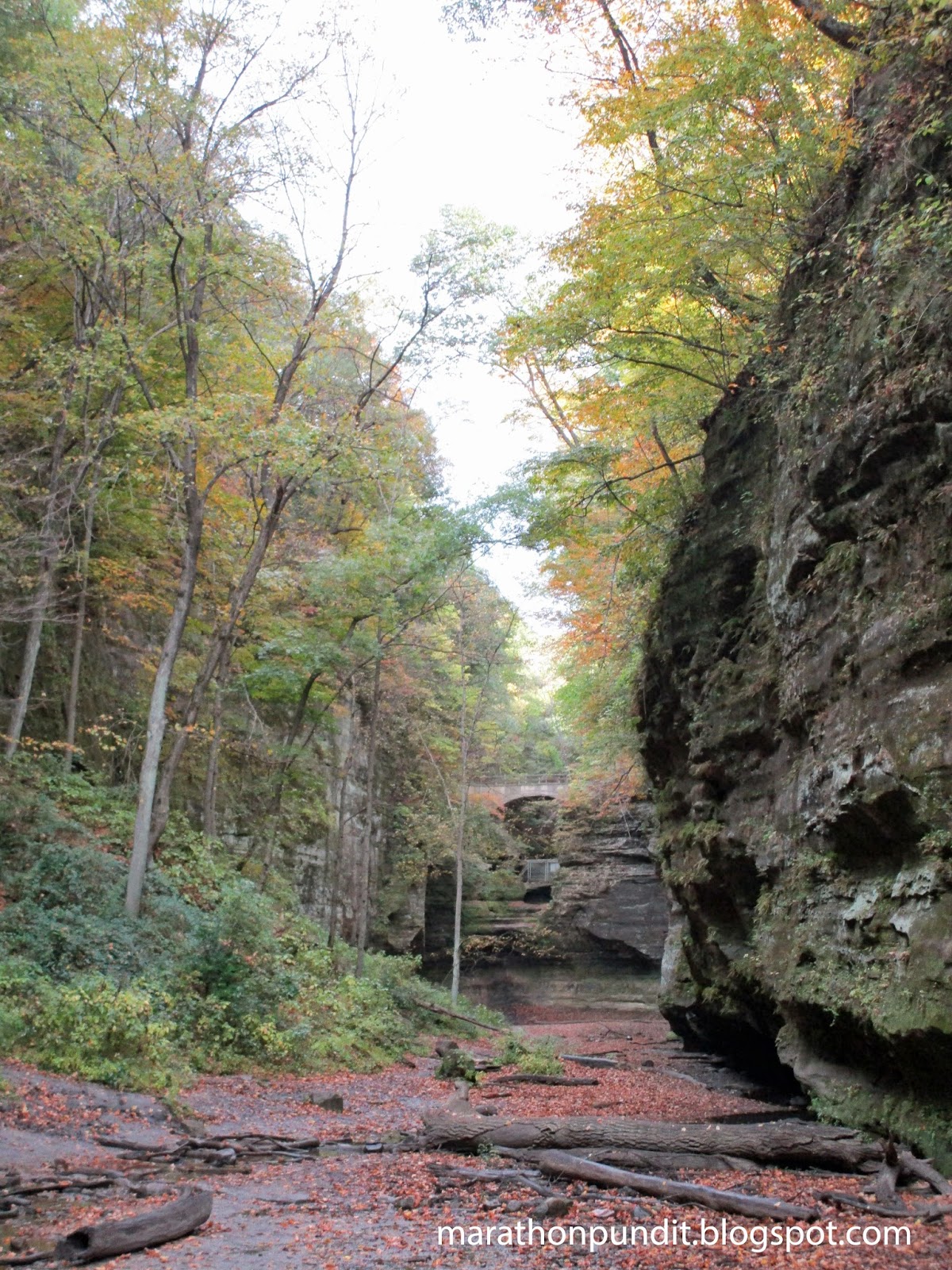 Marathon Pundit: I&M Canal NHC at 30: Matthiessen State Park--Dells Area