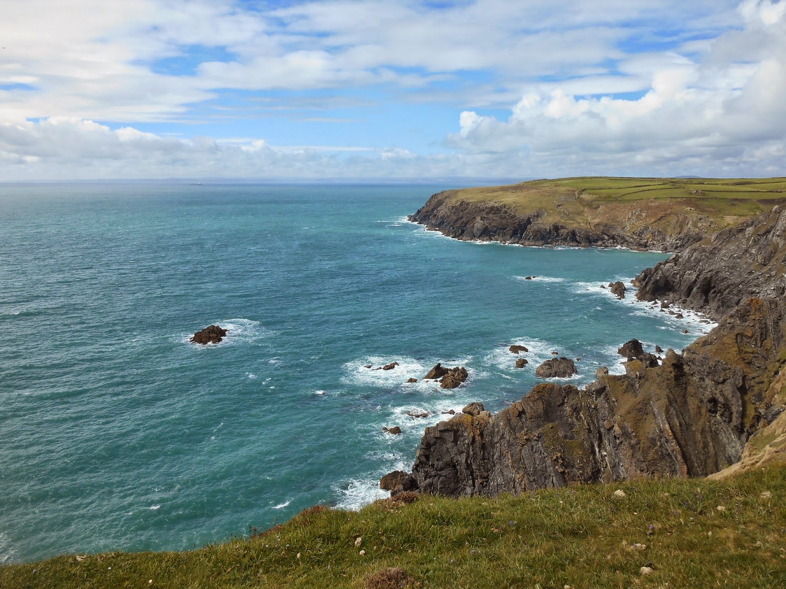 Nature Notes and Observations: Predannack Wollas, Cornwall