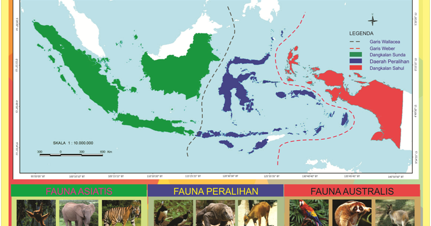PatnER Geografi: SEBARAN FLORA DAN FAUNA DI INDONESIA