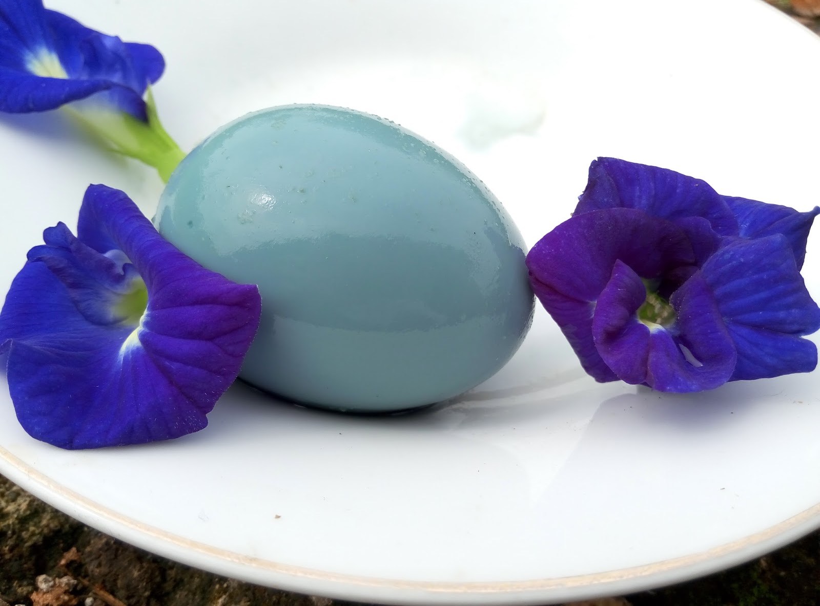 Warung KaTa (Kanda Takon) Pusur: Telur Biru Bunga Telang