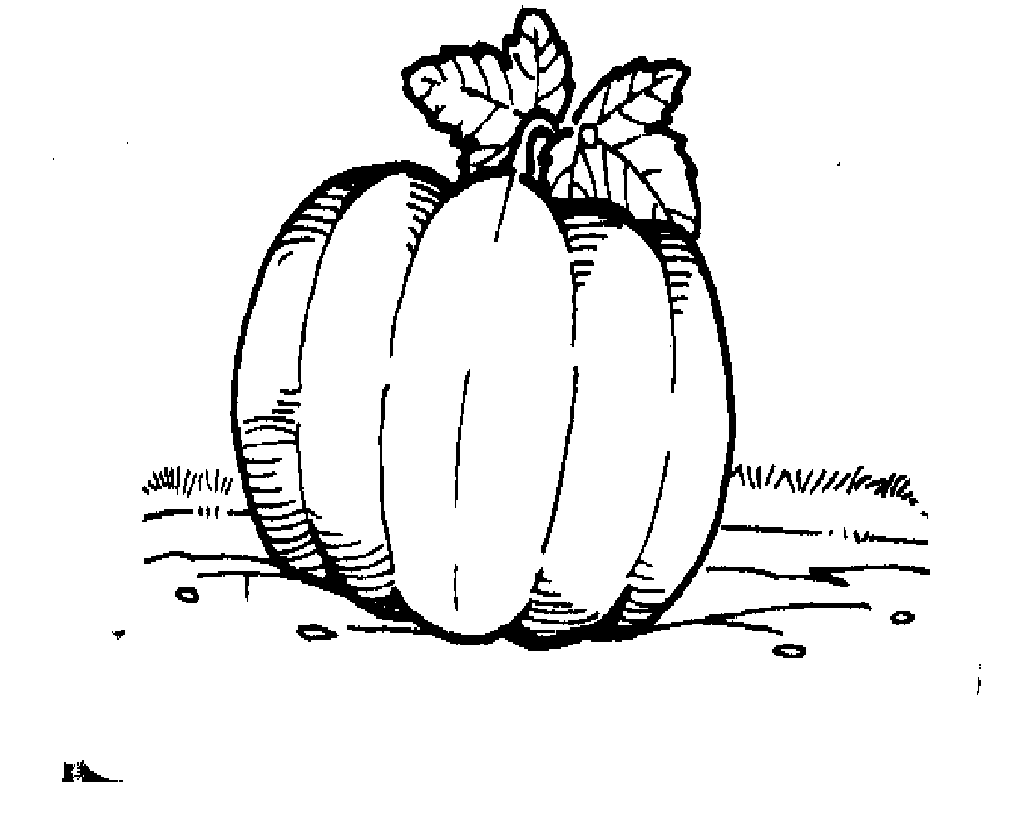 Sekitar Kawasan Sekolah: Gambar outline_Buah Sayur