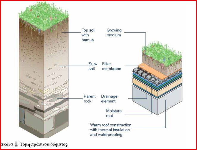 ΤΑΡΑΤΣΟΚΗΠΟΣ...Ο ΚΗΠΟΣ ΤΩΝ ΠΟΛΕΩΝ: Υπόστρωμα φυτεμένου δώματος