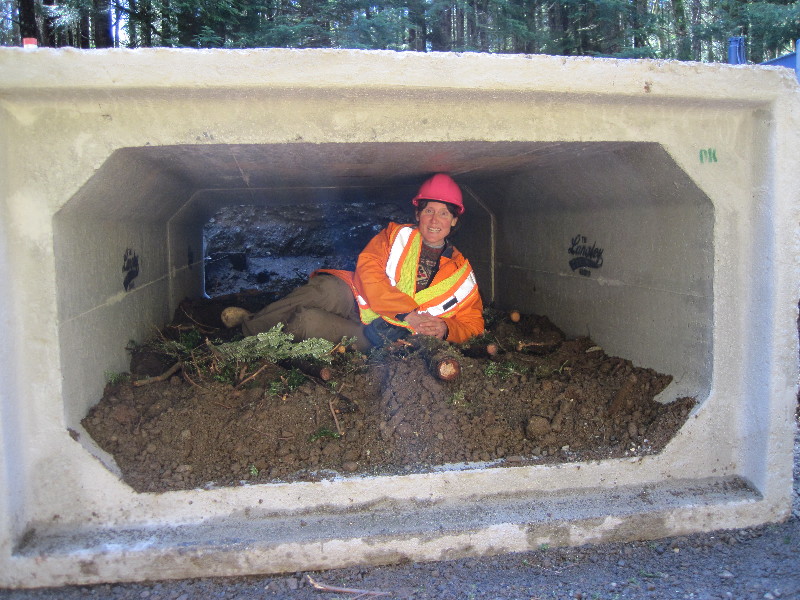 The SPLAT Project Amphibian Tunnel: Day One of the Tunnel Installation