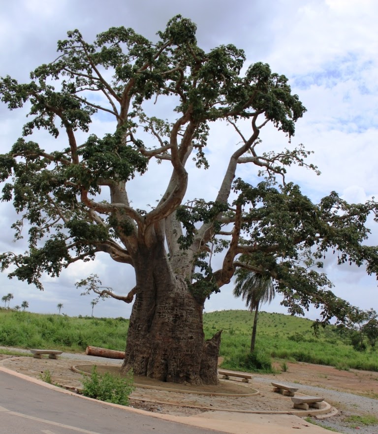 L'Odyssée Congolaise: Dolisie (16/02)