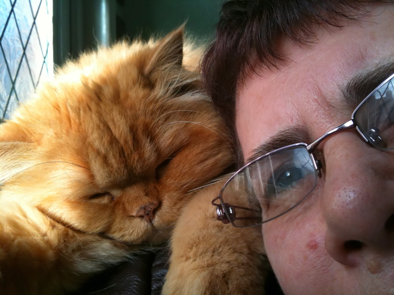 Angel Ginger Jasper: Our tribute : Farewell our beautiful sweet boy xxxxx