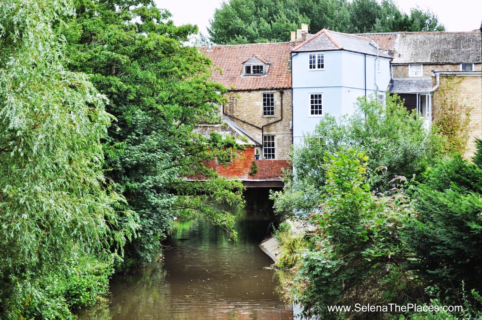 Oh, the places we will go!: The Frome Super Market