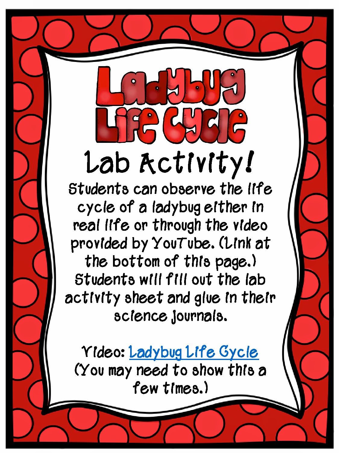 Ladybug Ladybug Fly Away Home! | Hillary's Teaching Adventures