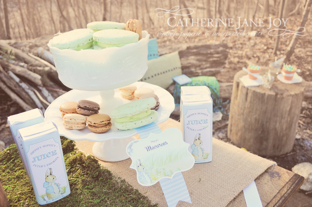 {Parties} Here comes Peter Rabbit...a whimsical woodland brunch at ...
