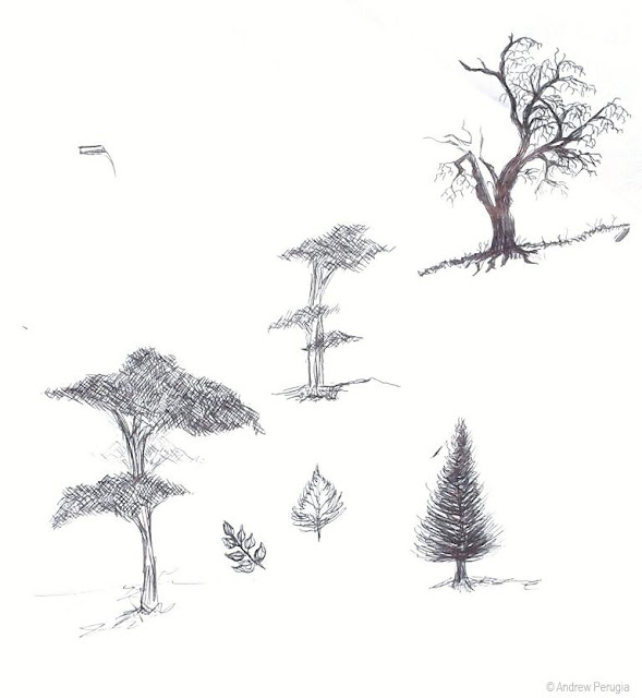 Andrew Perugia Artworks: Drawings: OCA Part 3: Drawing Trees I ...