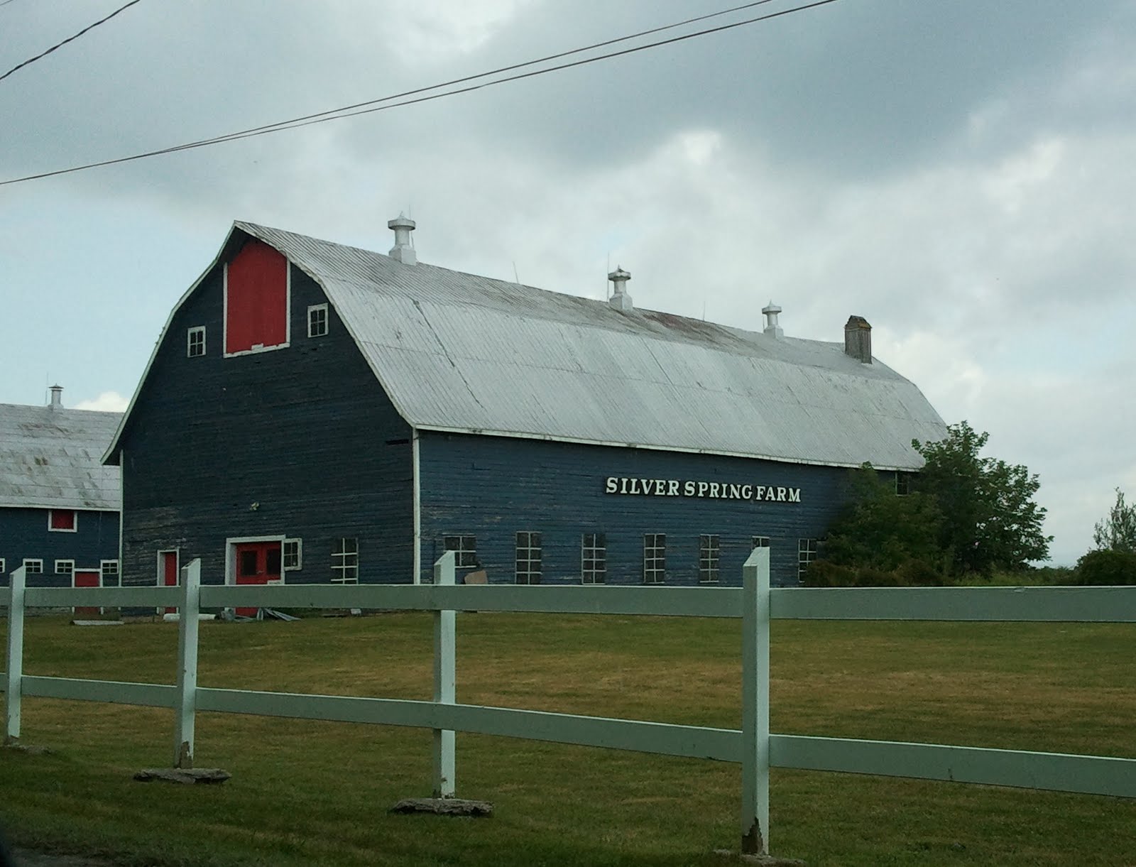 If Music be the Food of Love, Play On: 'Choose Your Own Garlic ...
