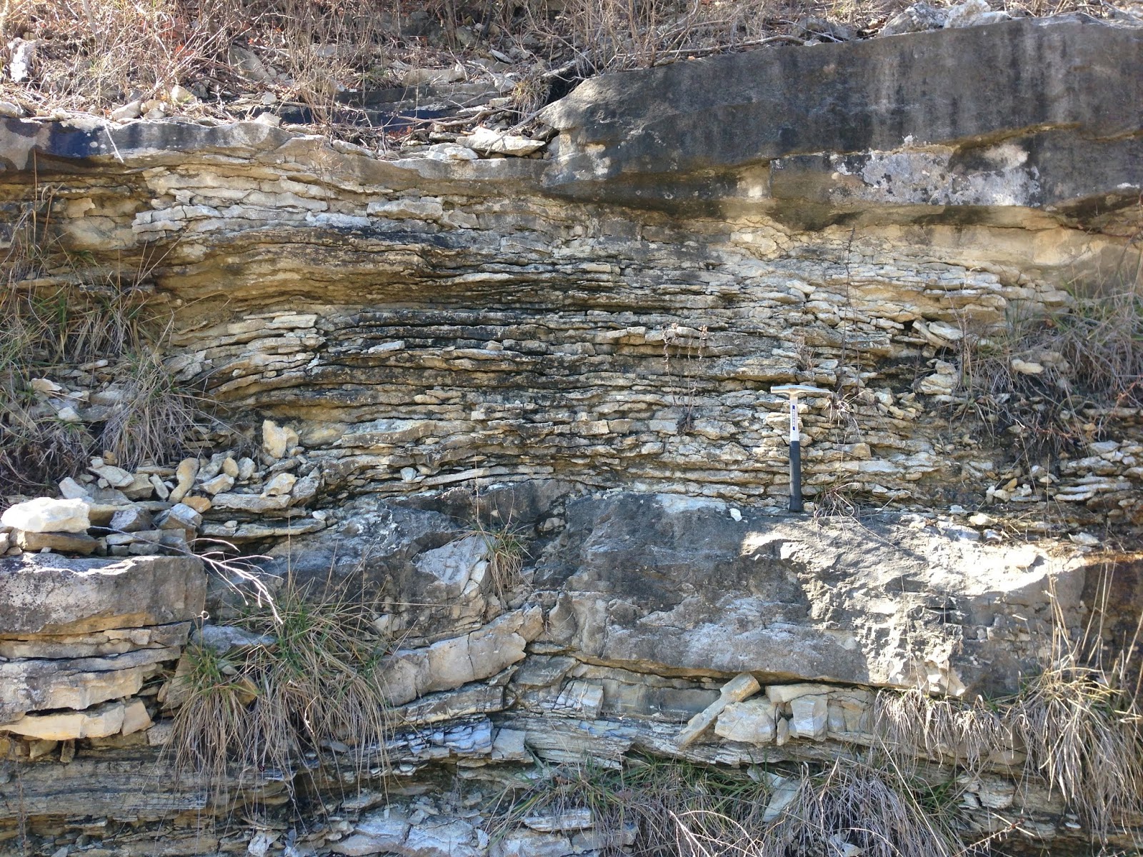 University of Arkansas Outcrops