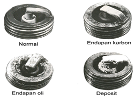Rusyiam: JENIS-JENIS BUSI