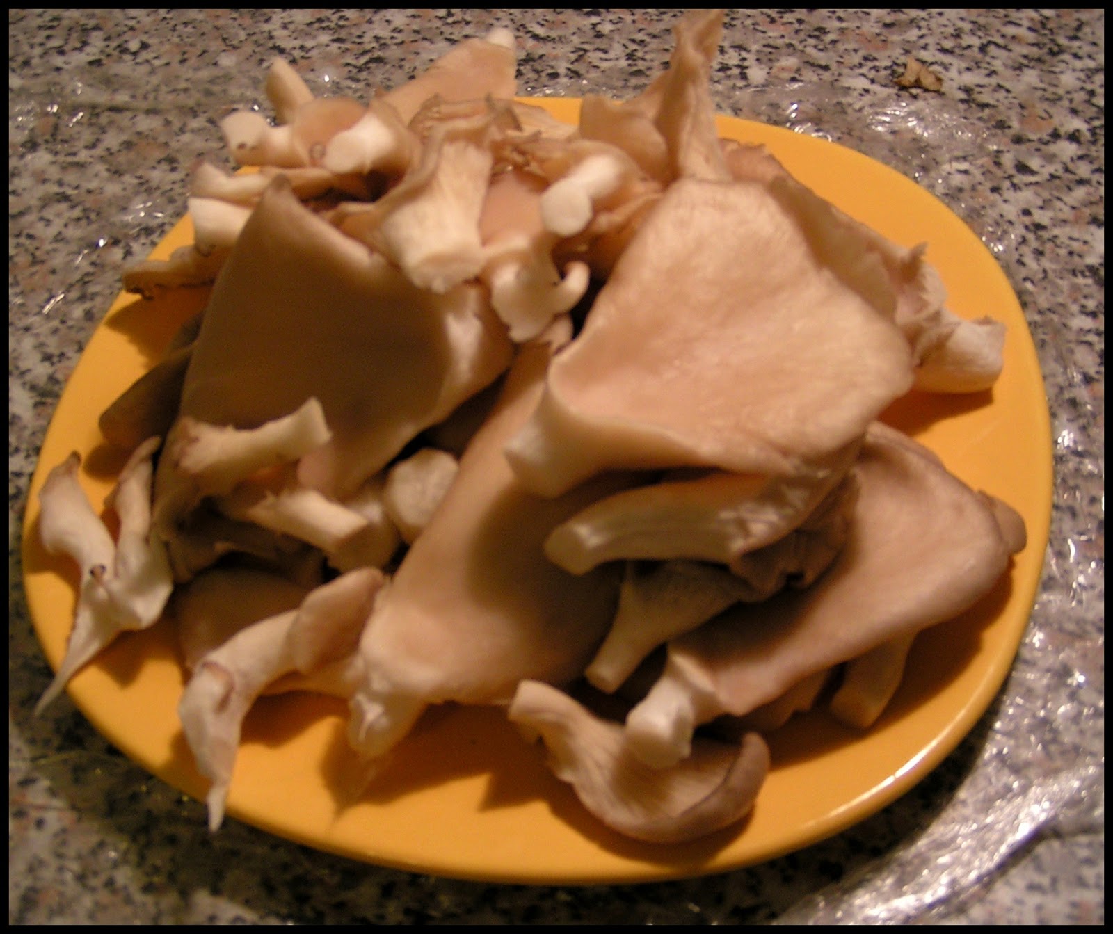 PASIUNI: CIUPERCI PLEUROTUS PANE
