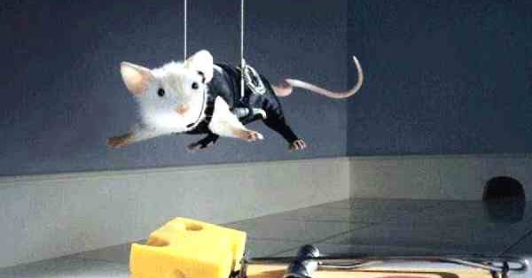 Wiki World: Mission Impossible Mouse
