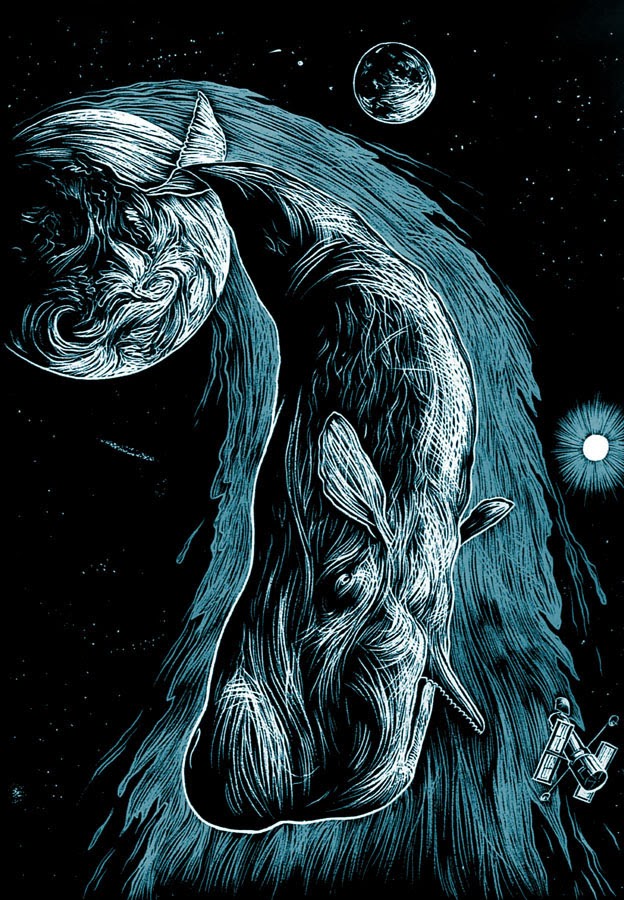 2-Dimensional Domain: Leviathan