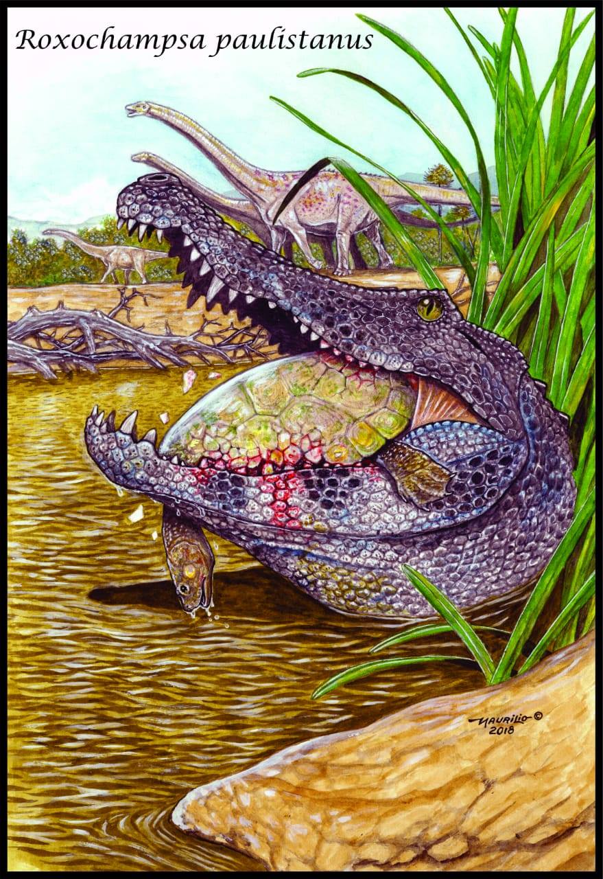 Species New to Science: [Paleontology • 2018] Roxochampsa paulistanus ...