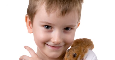 Positive Discipline: Connection Before Correction - A Positive ...