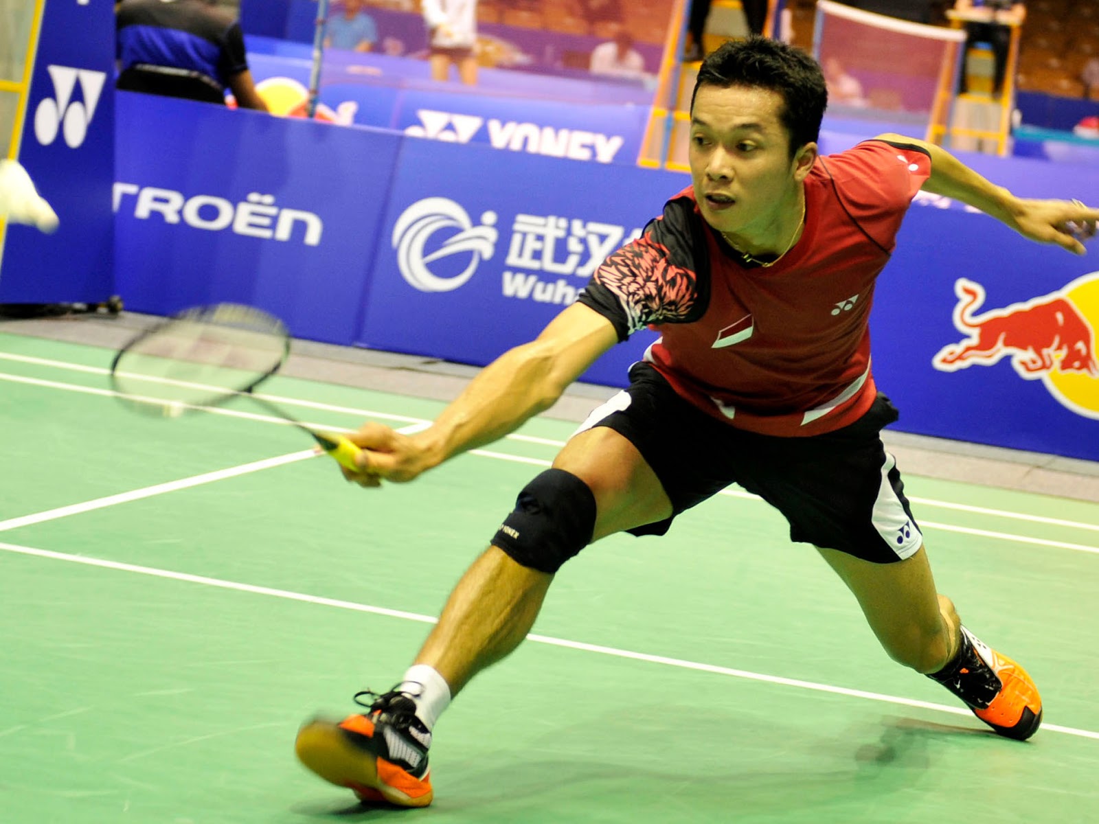 Biografi Singkat Taufik Hidayat