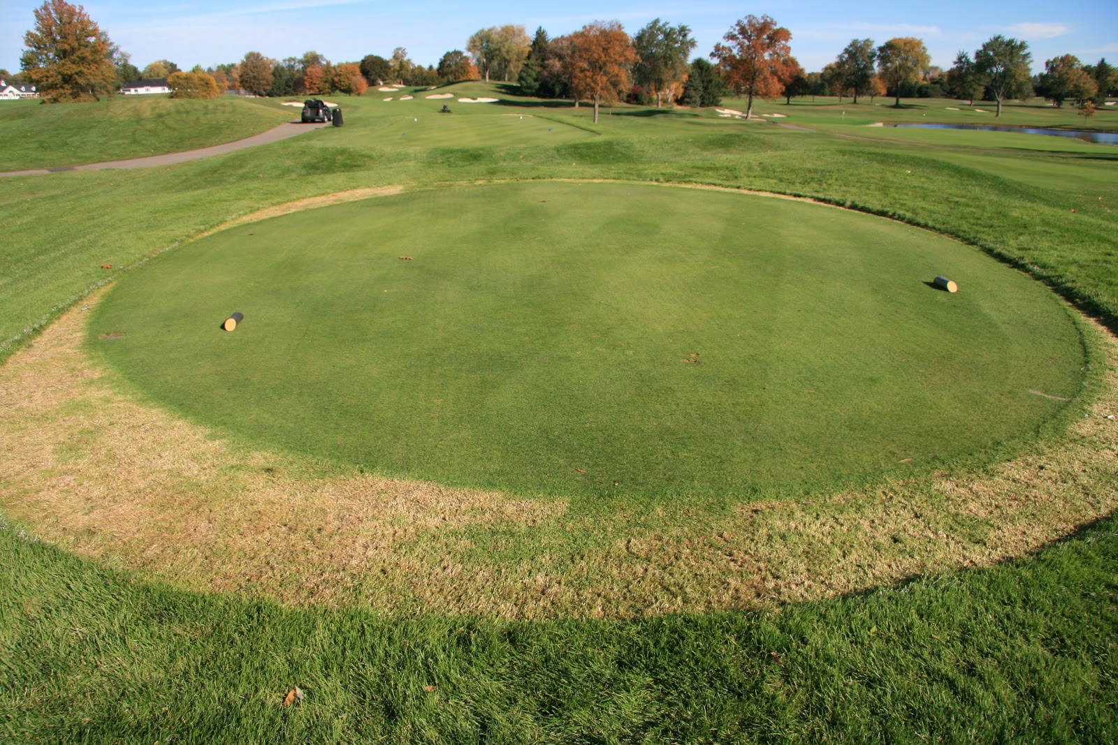 Oakland Hills Country Club - Turfgrass Maintenance: Tee Encroachment
