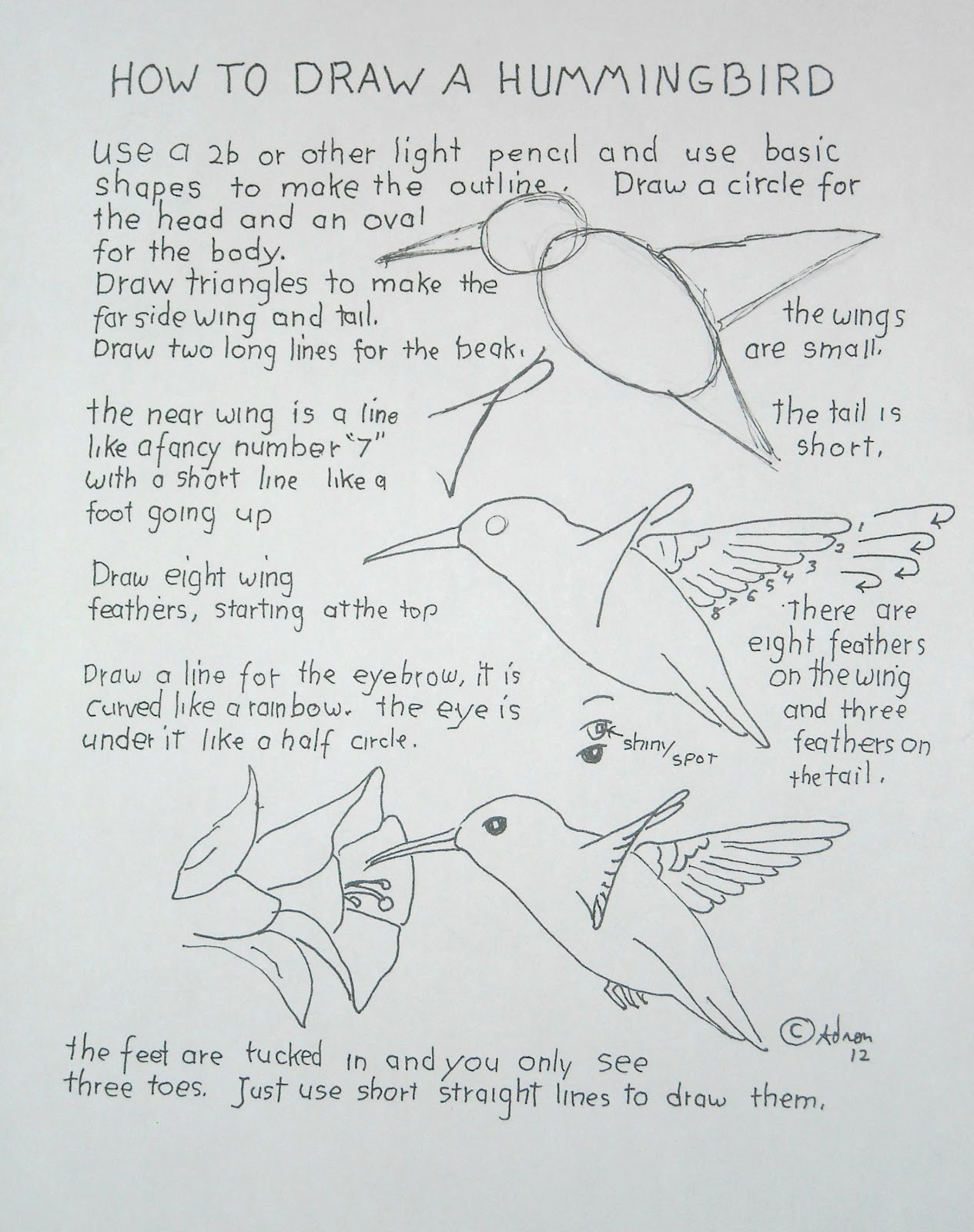 How to Draw Worksheets for The Young Artist: How To Draw A Hummingbird ...