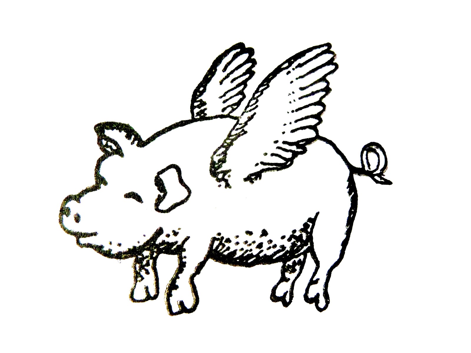 moosewinks: Flying Pigs