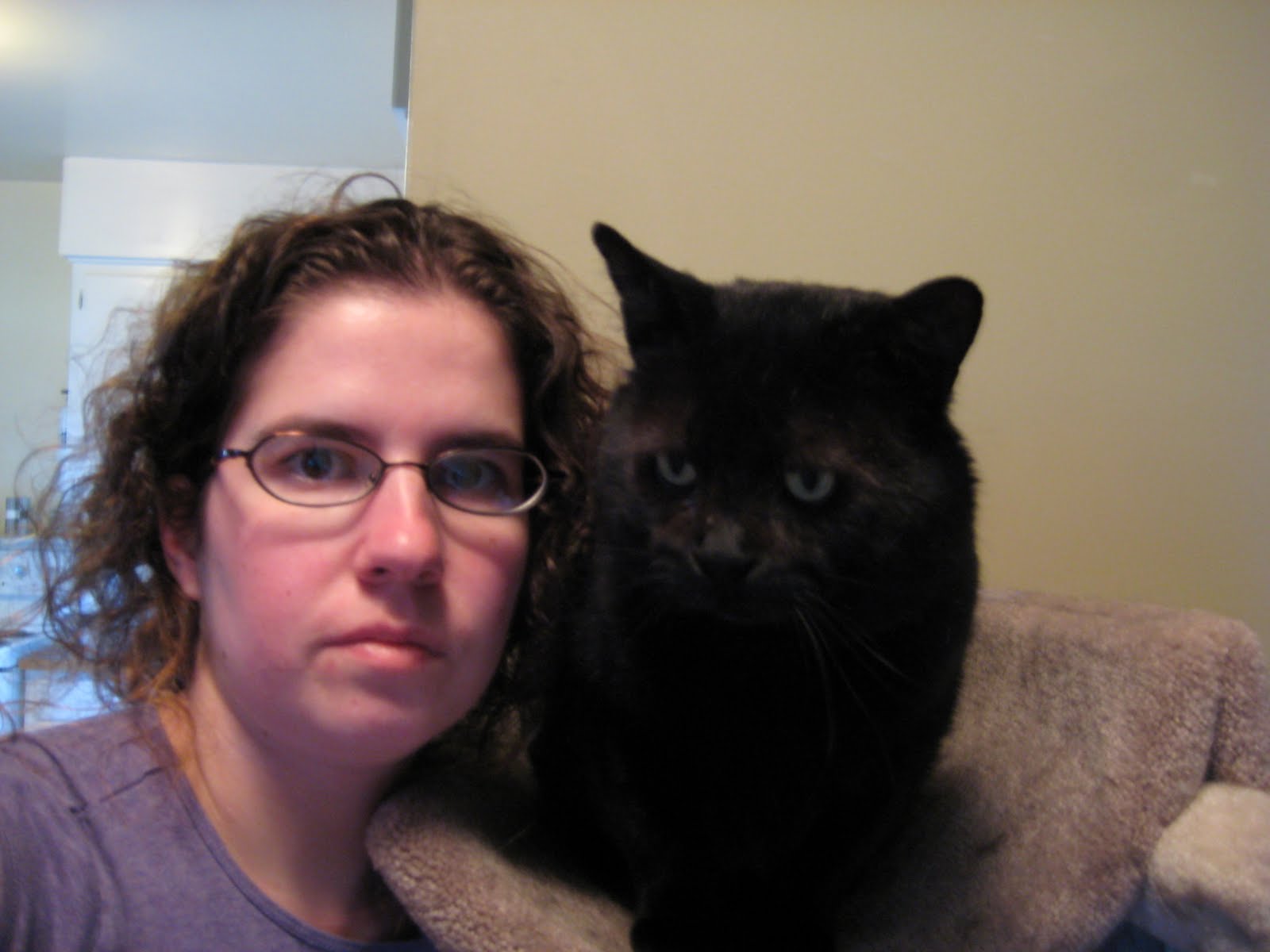 The Adventures of Percy the Cat