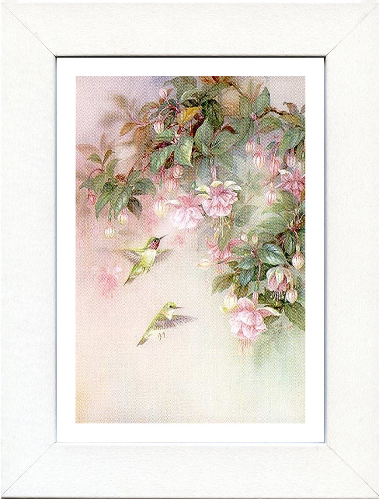 jjjewel.resimlerim: KUŞ VE DOĞA TEMALI RESİMLER