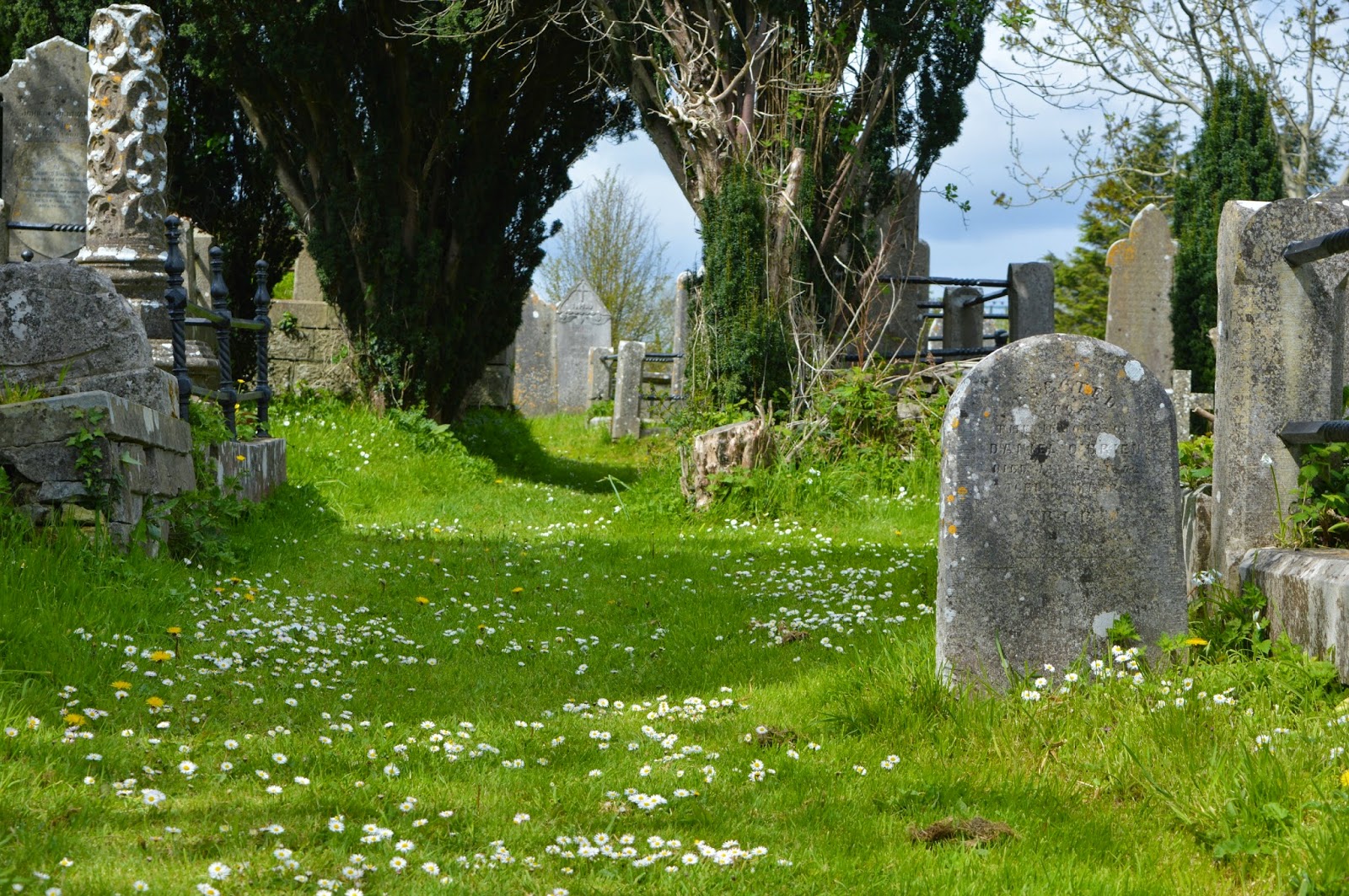 Old Church Cemetery, Cobh | Lusitania Graves & Memorial ♥ | Fawns & Fables