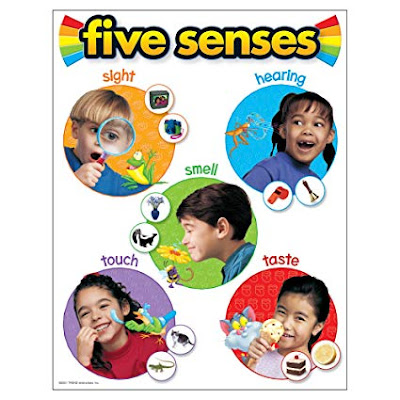 Welcome to Forms 1 : Our Senses
