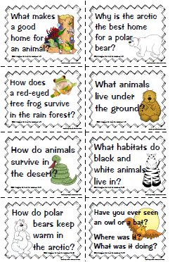 Sailing Through 1st Grade: Open Court Imagine It! Unit 2 Support Materials