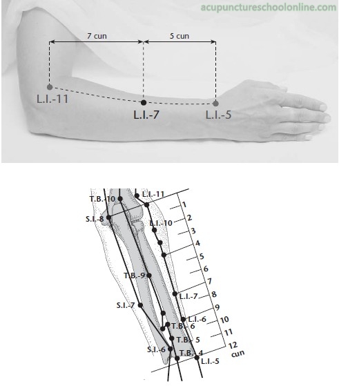 Jarum Sakti: Meridian Paru-paru & Usus Besar