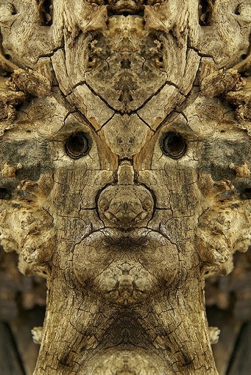 Design Stack: A Blog about Art, Design and Architecture: Mirrored Faces ...