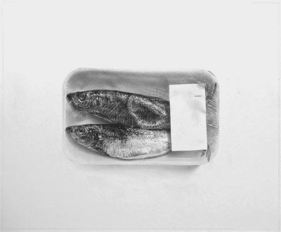 the art room plant: Andrea Boyer