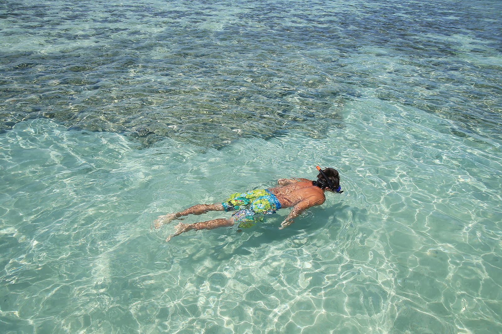 Maceio - Alagoas: Maragogi