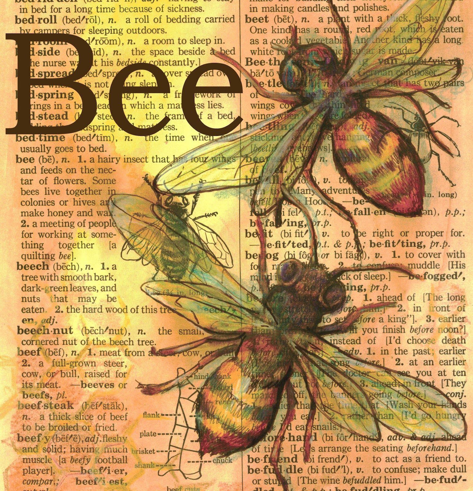 BEE DRAWING ON DISTRESSED DICTIONARY PAGE