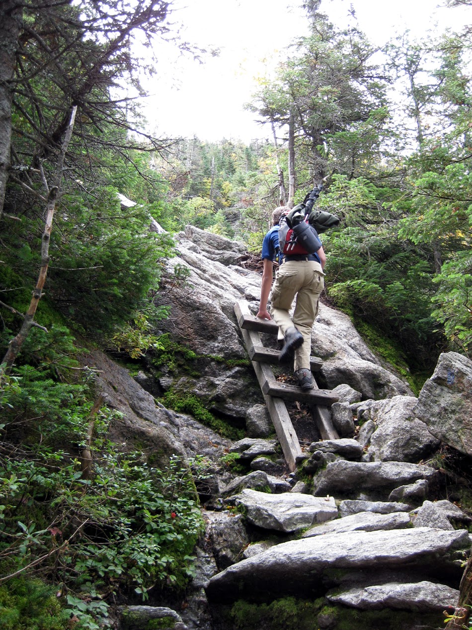 Naturally New England