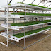 Formation en Fourrage vert Hydroponique Et conception des unites de ...