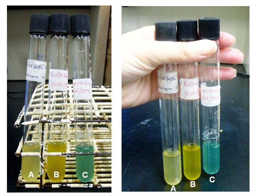 lifescience blog: CIÊNCIA COLORIMÉTRICA