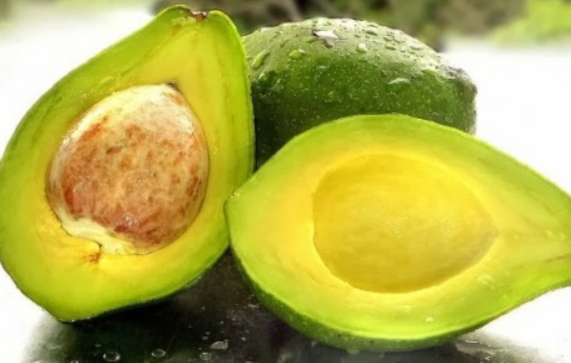 Ciri-Ciri Tanaman Alpukat/Avokad/Apokat Manfaat dan Khasiatnya